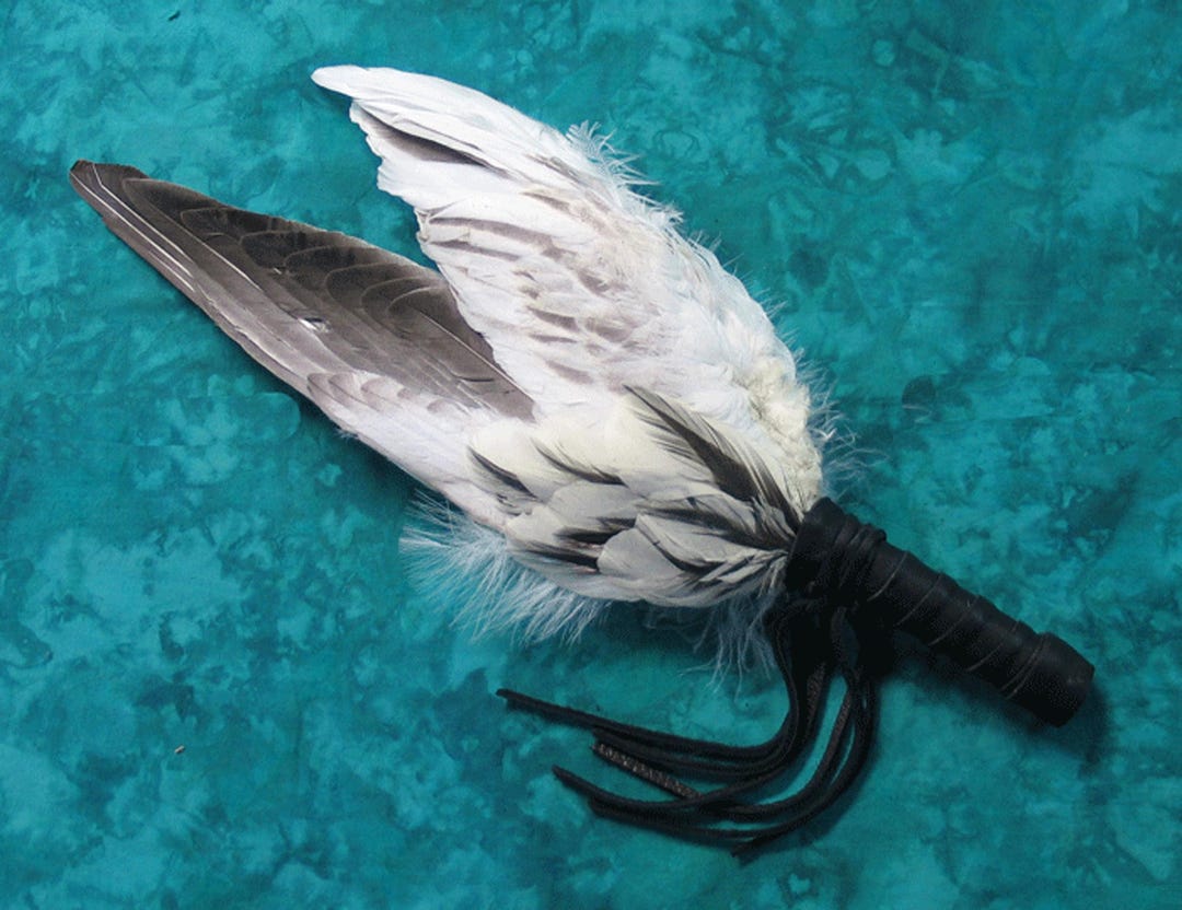 Smudge Fan Sacred Shamanic Ceremony and Aura Cleansing With Black ...