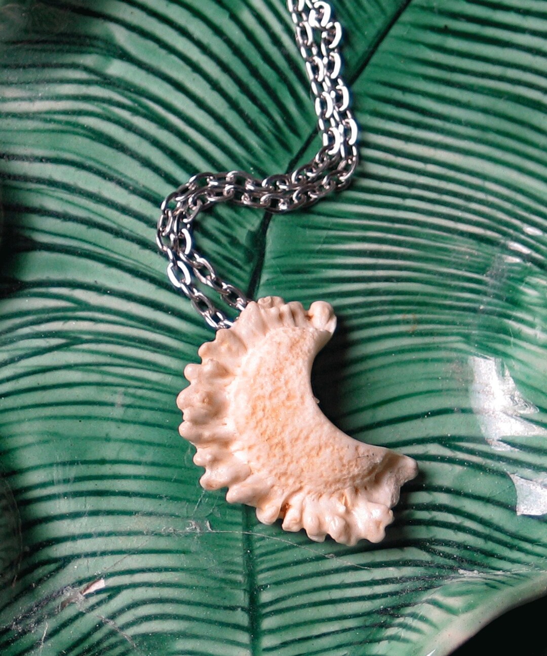White Crescent Moon Antler Jewelry Pendant - Etsy