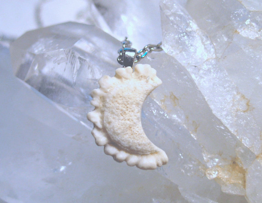 Crescent Moon Deer Antler Burr Jewelry Pendant - Etsy