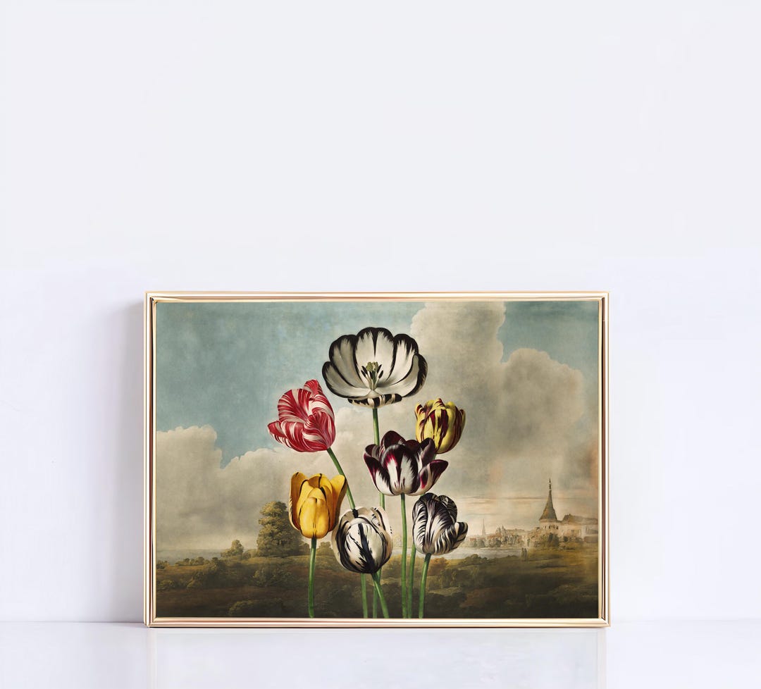 Marianne North Botanical Print, Java Landscape, Vintage Tropical Wall ...
