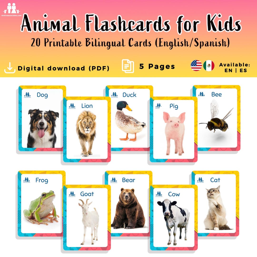 Animal Flashcards – Bilingual PDF (spanish/english) - Etsy