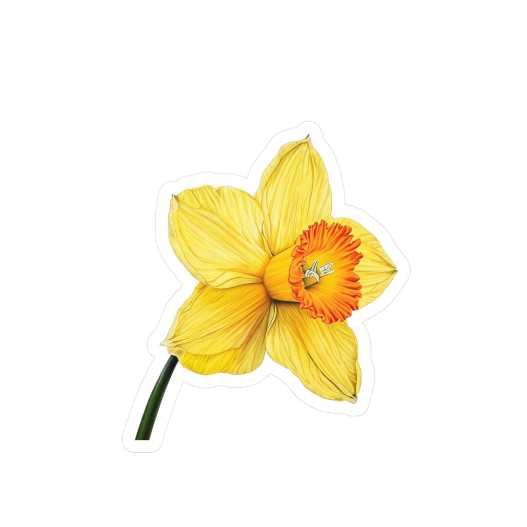 Daffodil Sticker, March Birth Month Flower Decal, Floral Laptop Sticker ...
