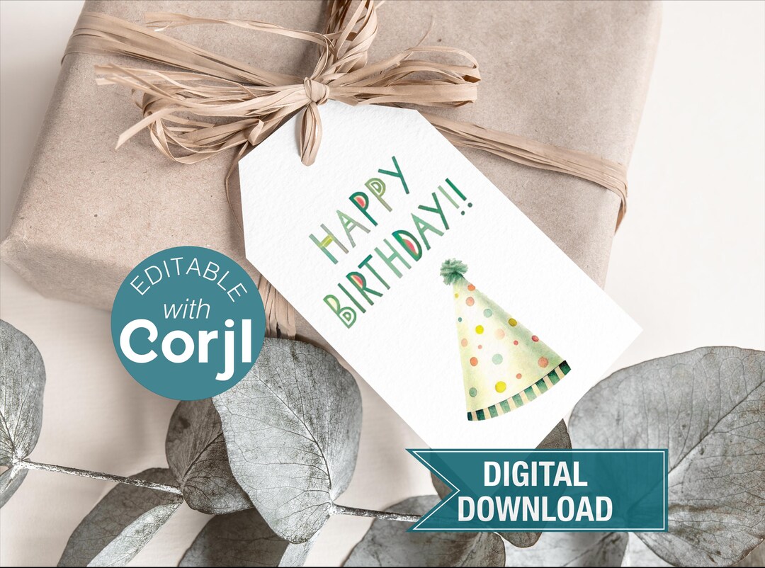 Printable Birthday Hat Gift Tag, Party Hat Favor Tag, Digital Download ...