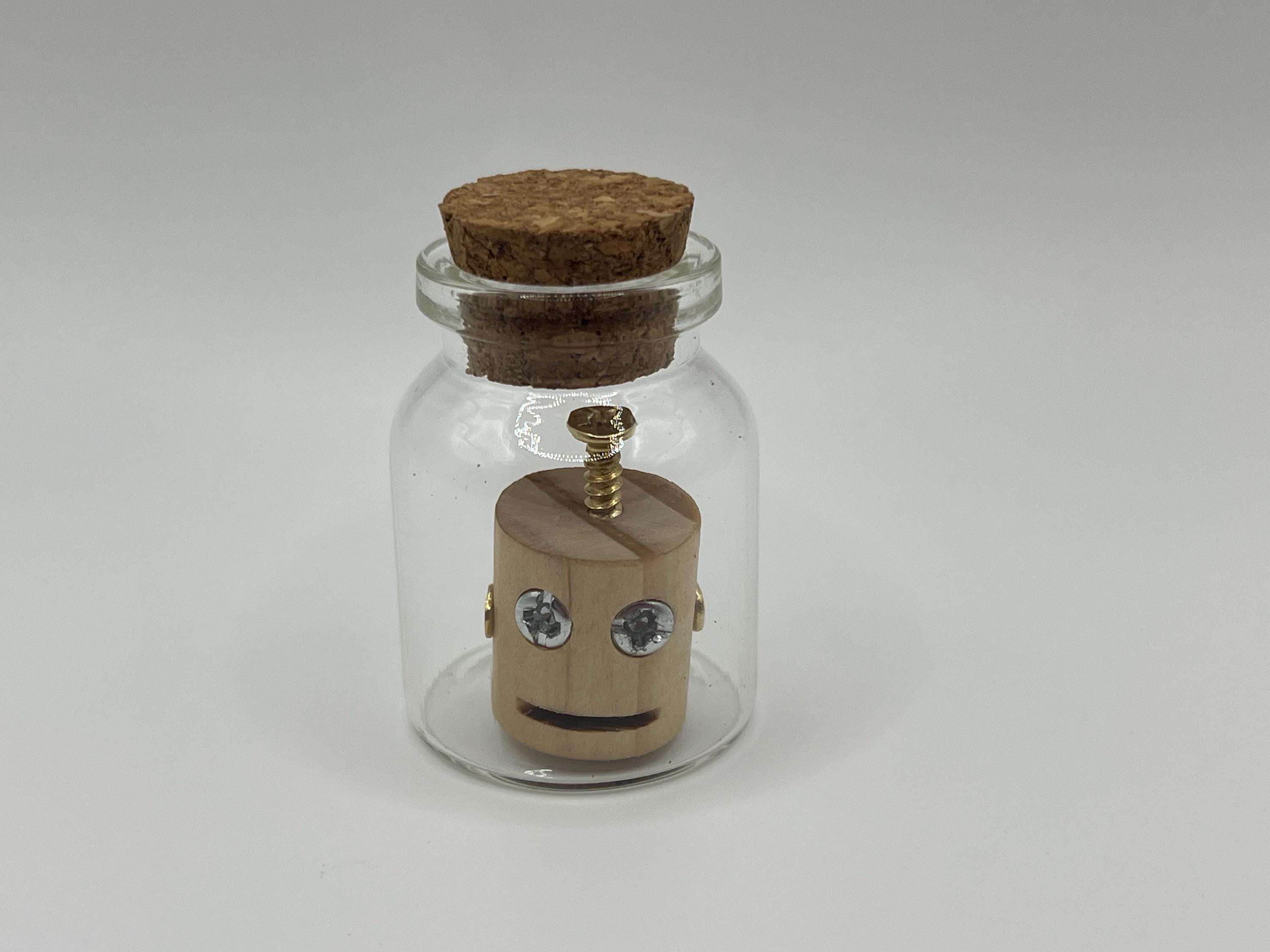 Miniature Robot in Bottle - Etsy