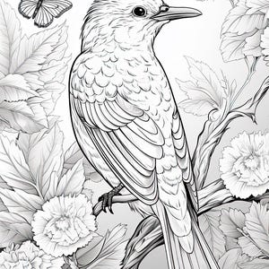 World of Birds Coloring Book - Book 5 - Etsy