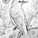World of Birds Coloring Book - Book 5 - Etsy