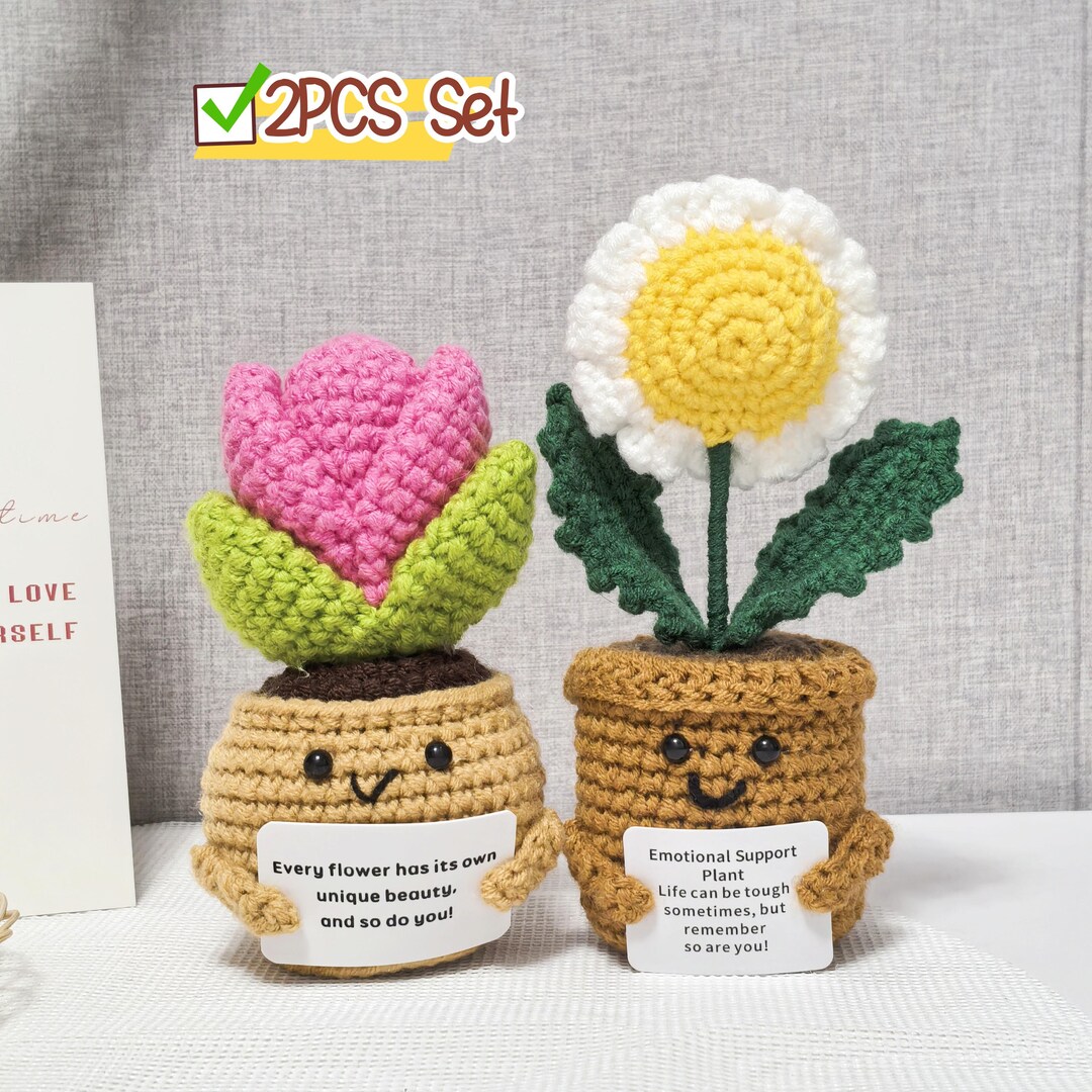 Handmade Crochet Daisy With Succulent Cactus,emotional Support Plant ...