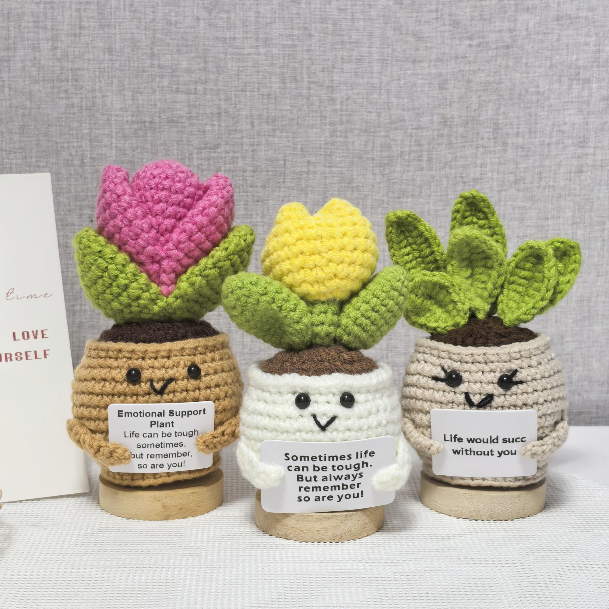 Handmade Crochet Daisy With Succulent Cactus,emotional Support Plant ...