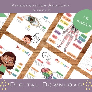 Kindergarten Anatomy Bundle - Etsy