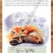 Winter Solstice Unit Study - Etsy