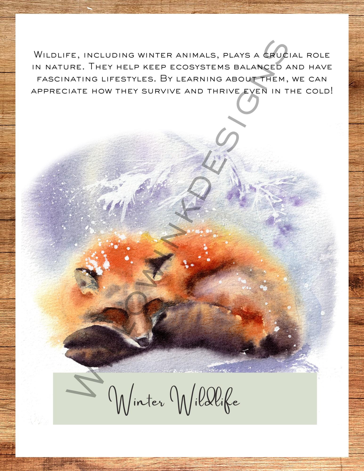 Winter Solstice Unit Study - Etsy
