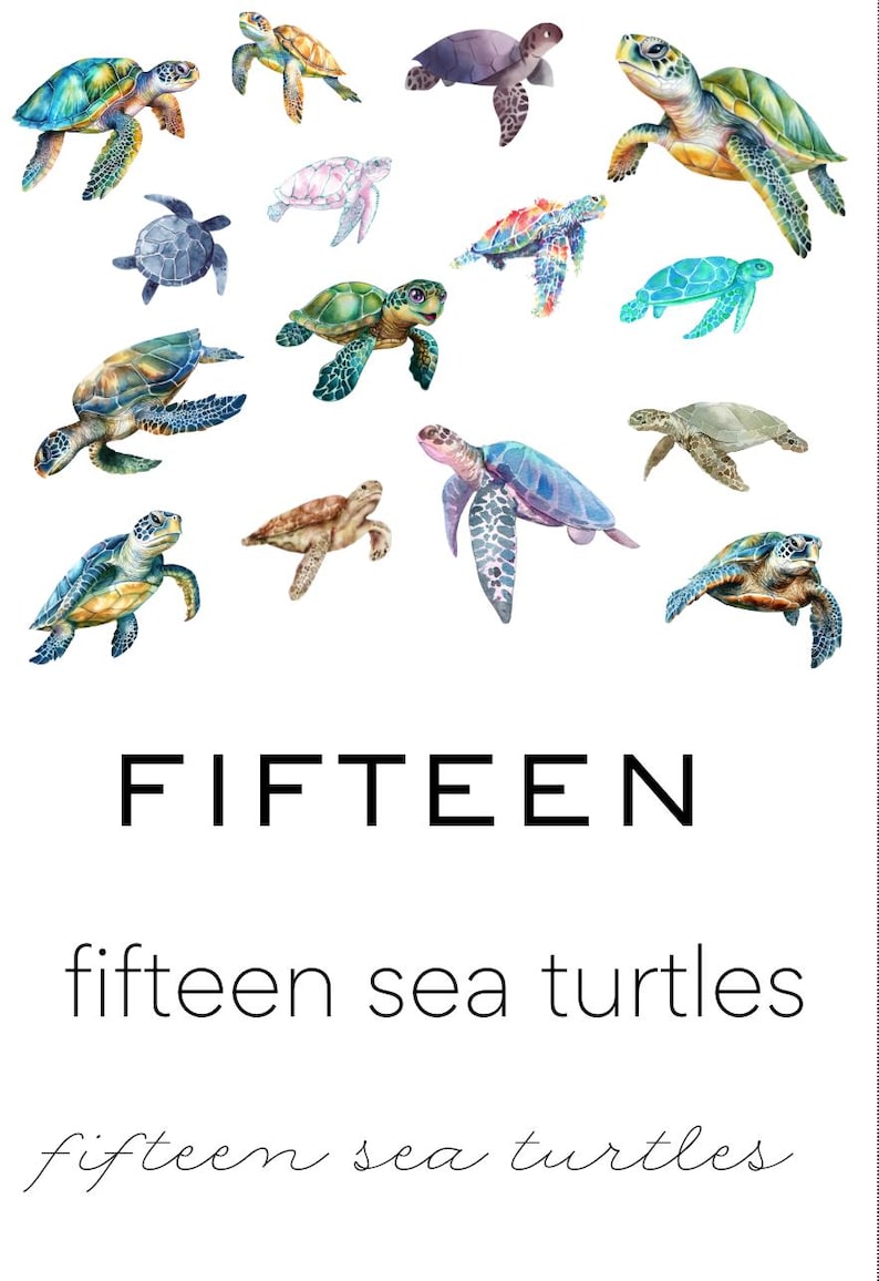 Ocean Themed Number Cards 1-20 4 3/4 in X 7 in Cards, Digital Download ...