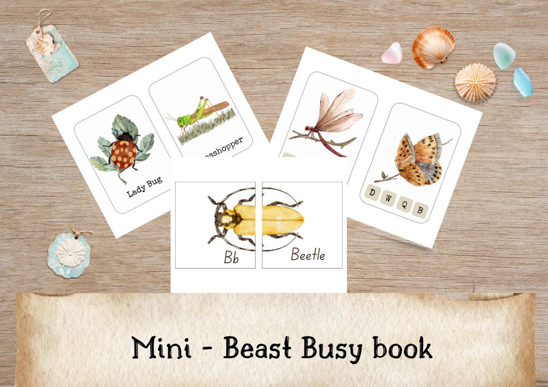 Busy Book Nature Theme Insects and Bugs Preschool Kids' Activity ...