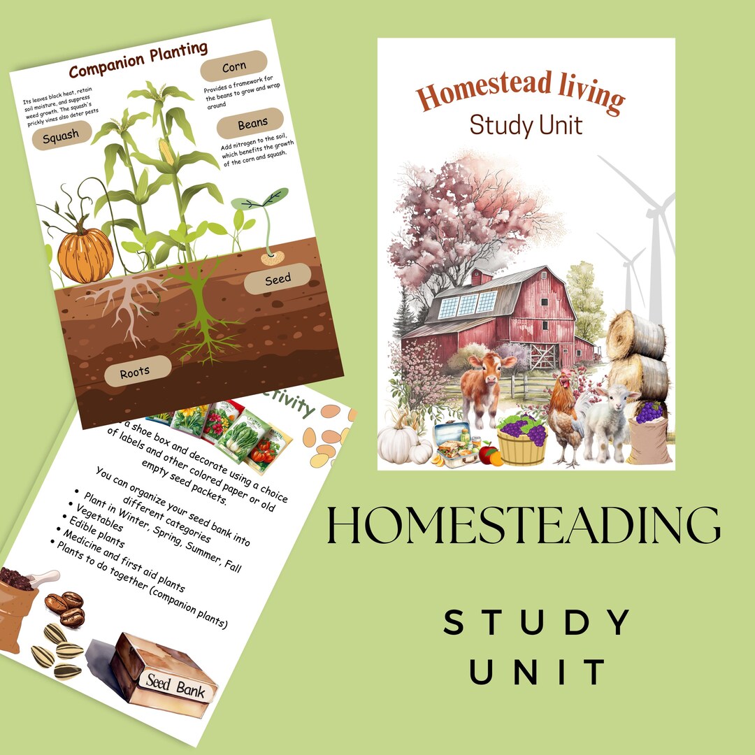 Homesteading Study Unit Classroom Teaching Resource Homeschooling ...