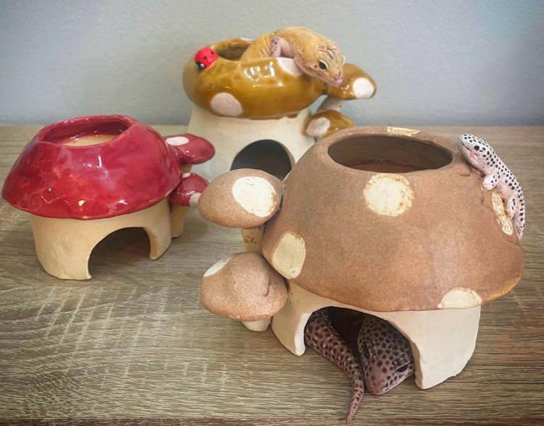 HUMIDITY HIDE Shelter【mushroom】 - Leopard Gecko, Reptile, Snake, Lizard ...