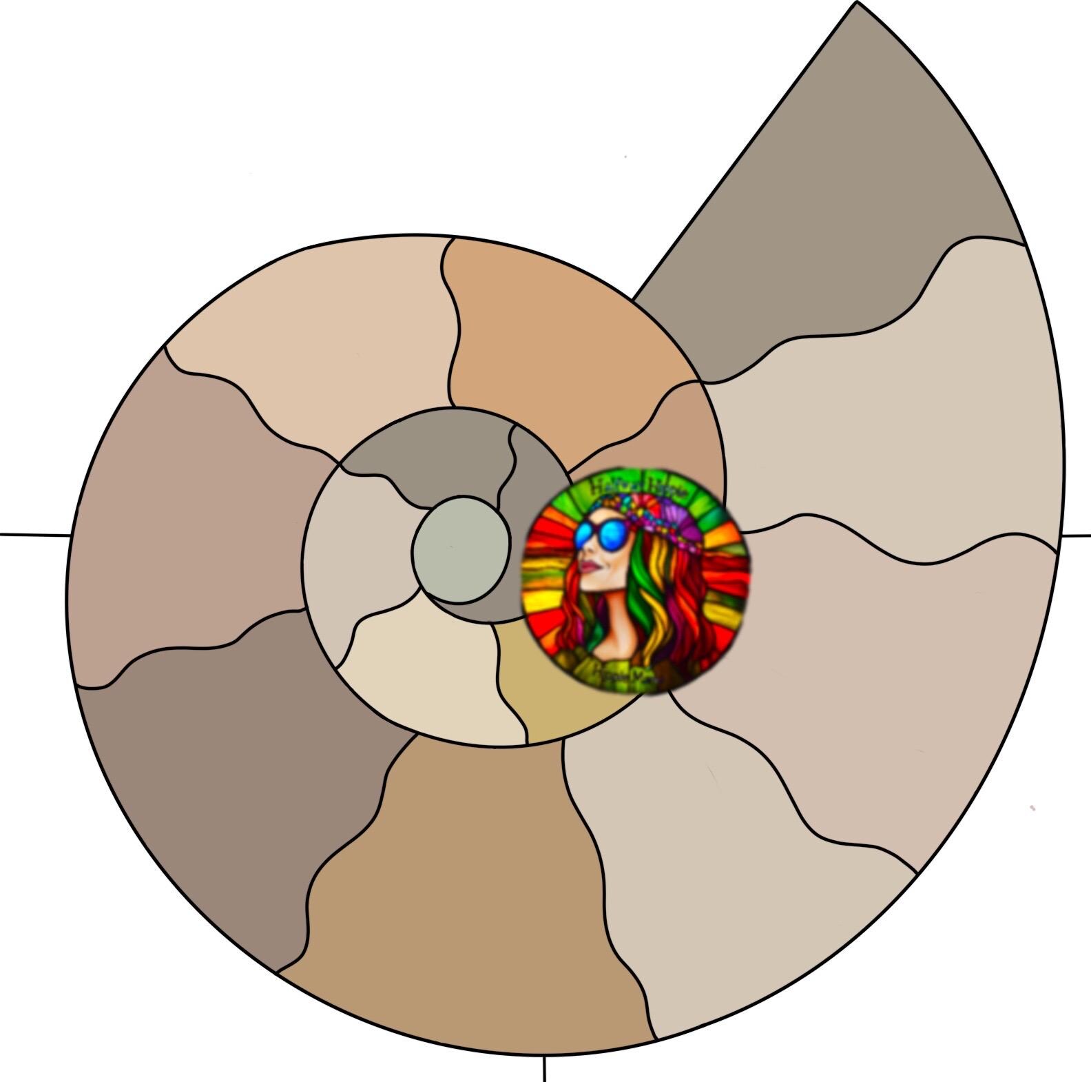 Ammonite Shell Stained Glass Pattern Pdf/png - Etsy
