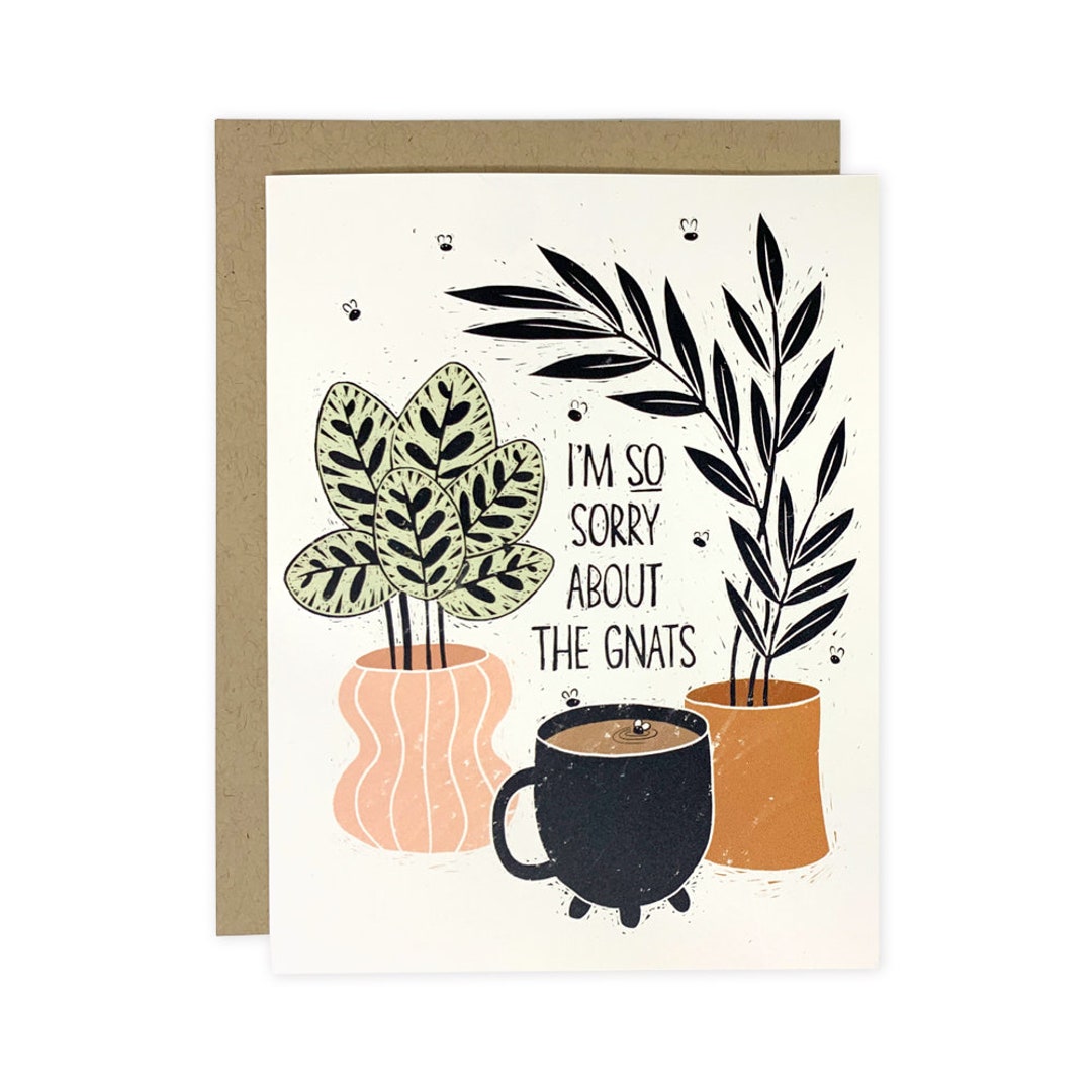 Gnat Apology Card - Funny Plant Lover Card - Wit & Whistle - Etsy