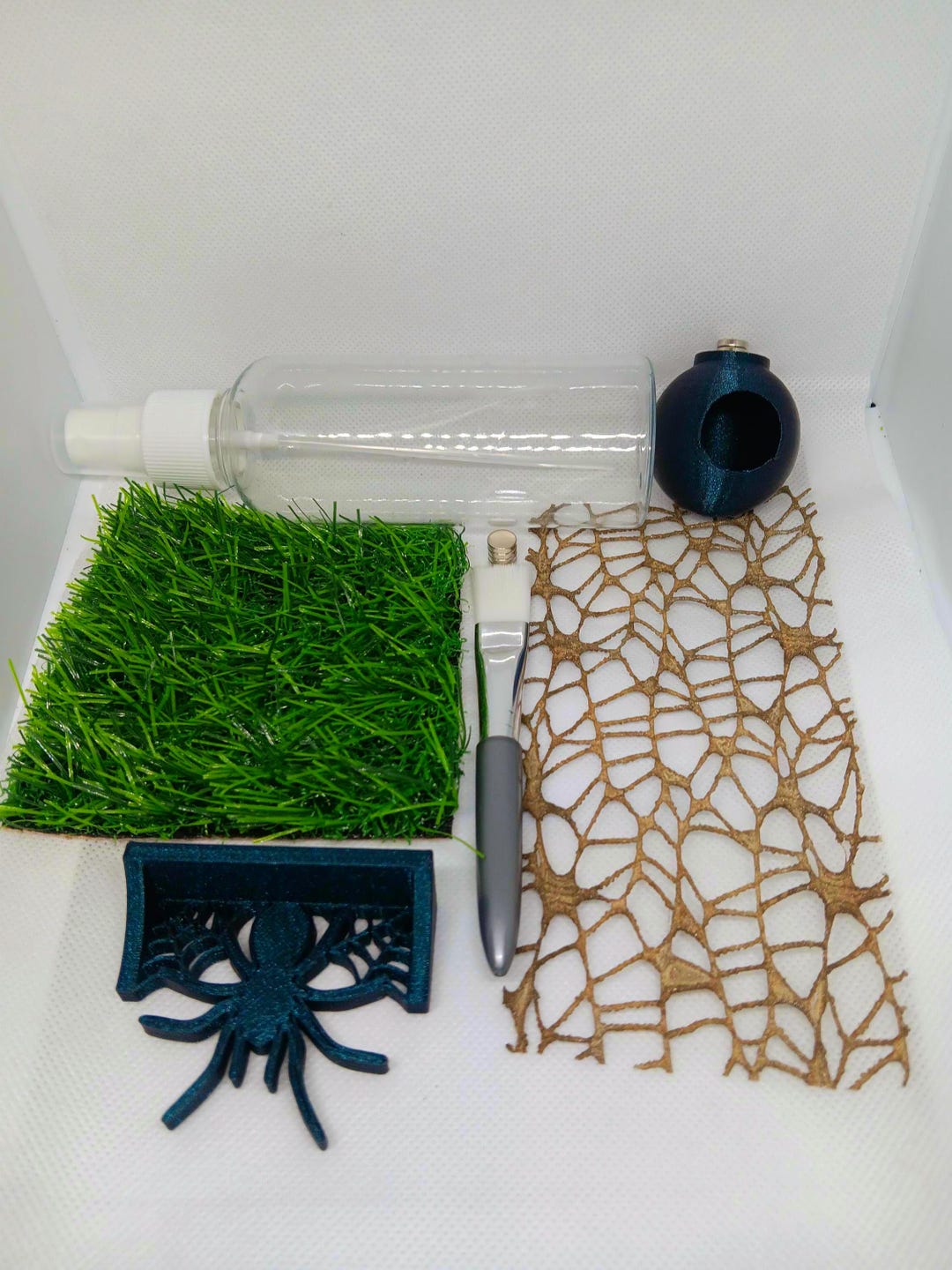 Jumping Spider Starter Kit | DIY Enclosure Bundle With Artificial Grass ...