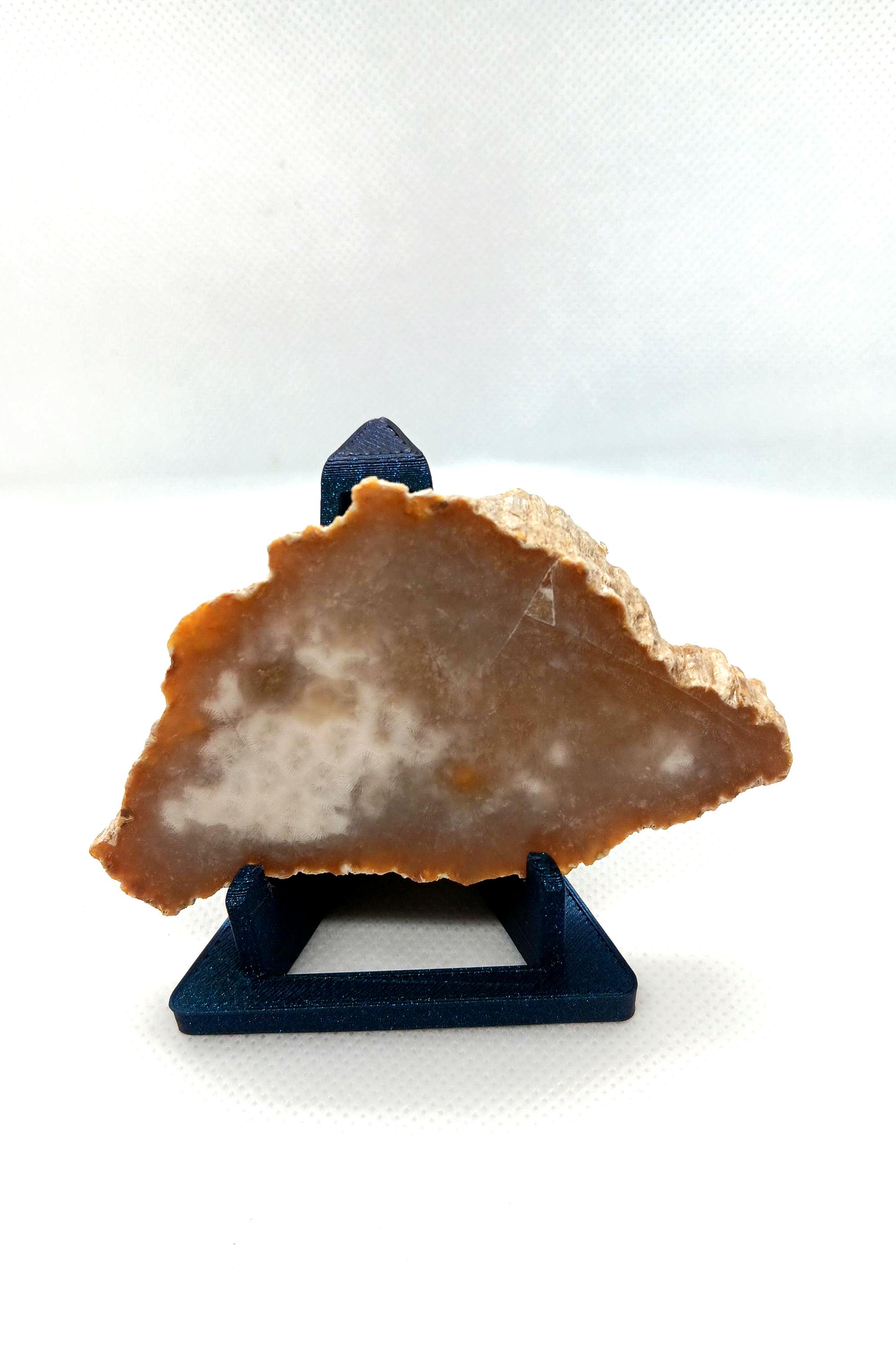 3d Printed Display Stand For Rocks And Fossils Minimalist Design