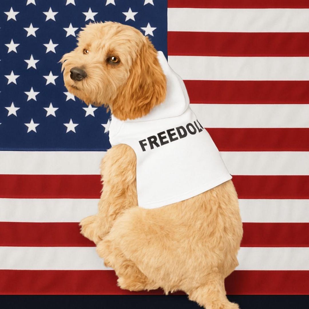 FREEDOM Pet Hoodie - Patriotic Dog Sweater - USA Pride Pet Apparel ...