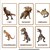 Dinosaur, Flashcards, 40 Flashcards, Science Fact Cards, Science Flash ...