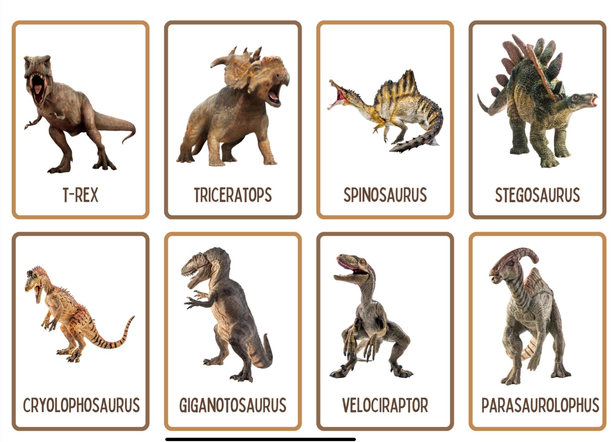 Dinosaur, Flashcards, 40 Flashcards, Science Fact Cards, Science Flash ...