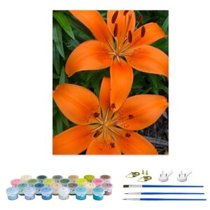 Fresh Morning Orange Lilies Paint by Number Kit for Adults - Vibrant Canvas Art, Includes ...