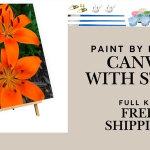 Fresh Morning Orange Lilies Paint by Number Kit for Adults - Vibrant Canvas Art, Includes ...