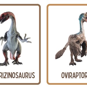 Dinosaur, Flashcards, 40 Flashcards, Science Fact Cards, Science Flash ...