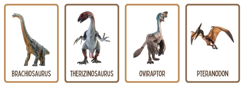 Dinosaur, Flashcards, 40 Flashcards, Science Fact Cards, Science Flash ...