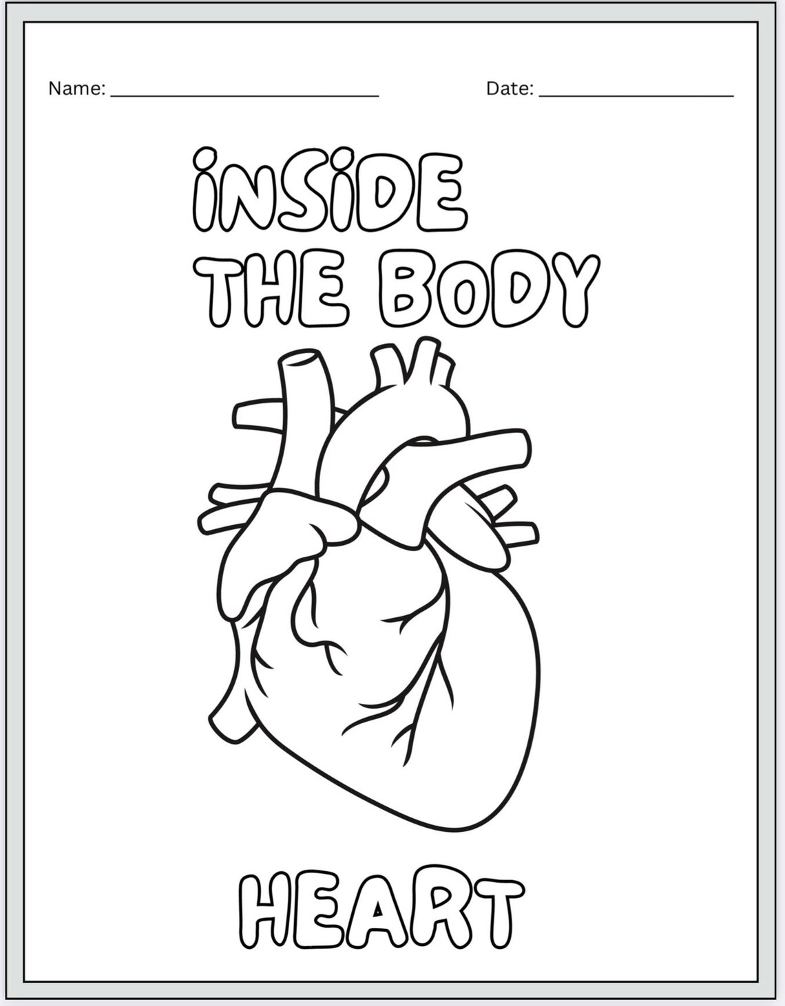 Organ Coloring Pages, Anatomy Worksheets, Science, Printable, 11 Pages ...