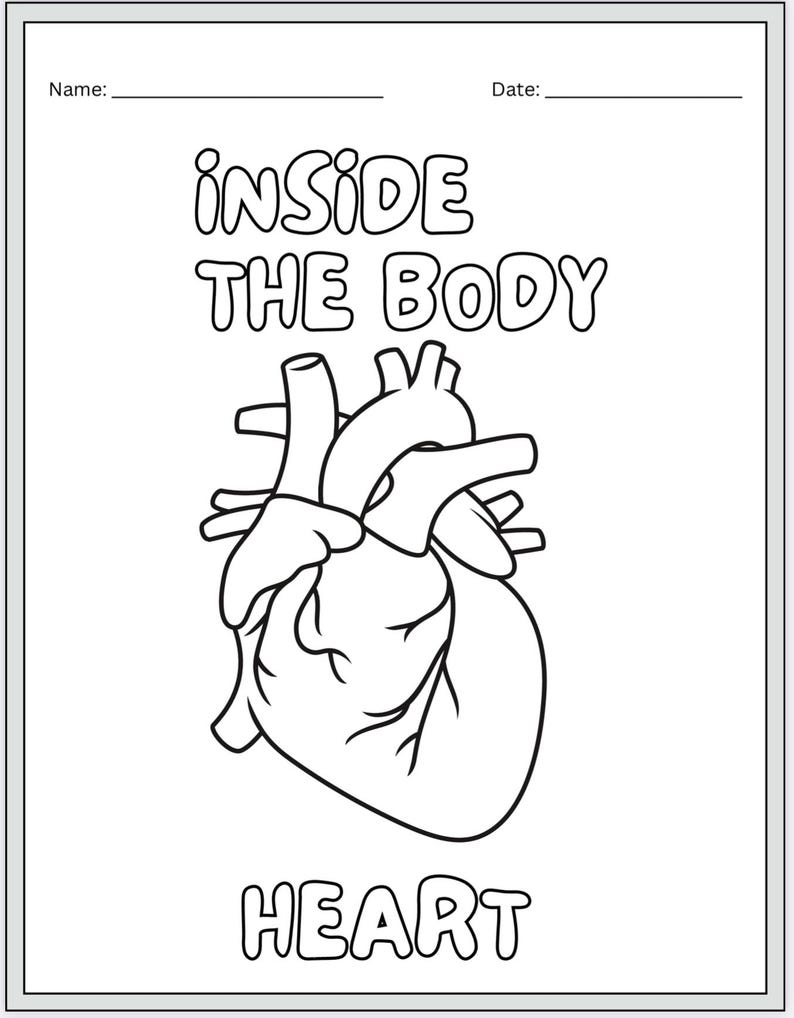Organ Coloring Pages, Anatomy Worksheets, Science, Printable, 11 Pages ...