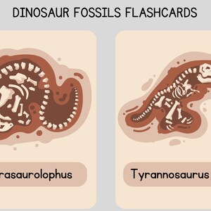 Dinosaur, Flashcards, 40 Flashcards, Science Fact Cards, Science Flash ...