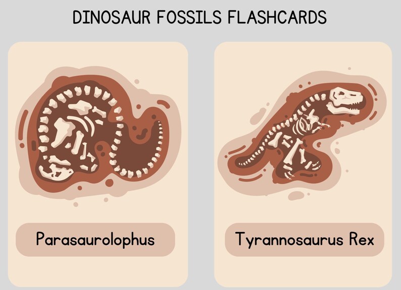 Dinosaur, Flashcards, 40 Flashcards, Science Fact Cards, Science Flash ...