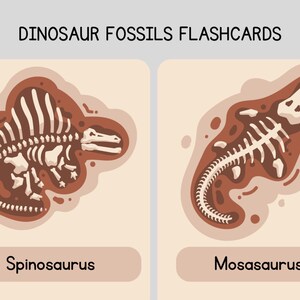 Dinosaur, Flashcards, 40 Flashcards, Science Fact Cards, Science Flash ...