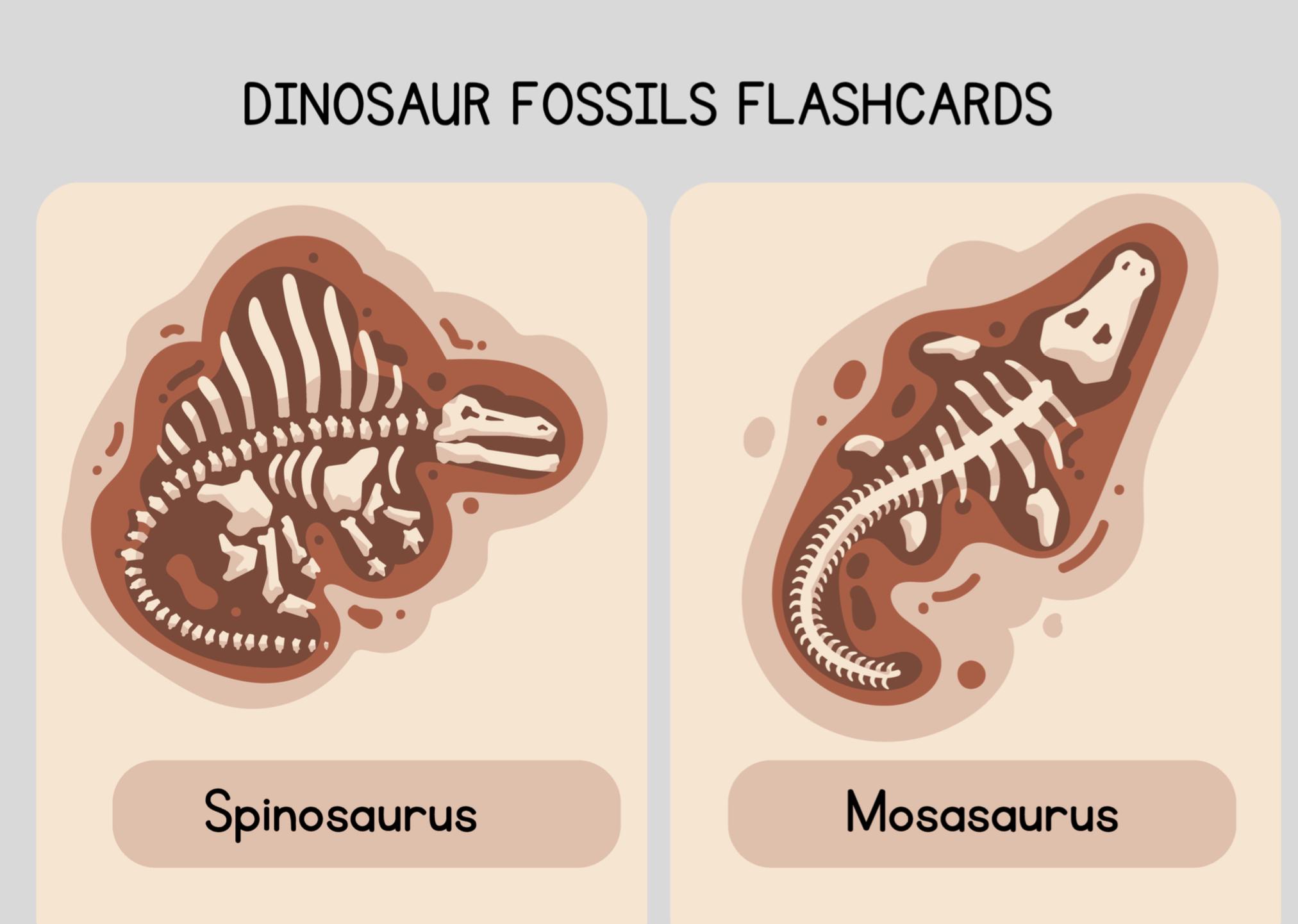 Dinosaur, Flashcards, 40 Flashcards, Science Fact Cards, Science Flash ...