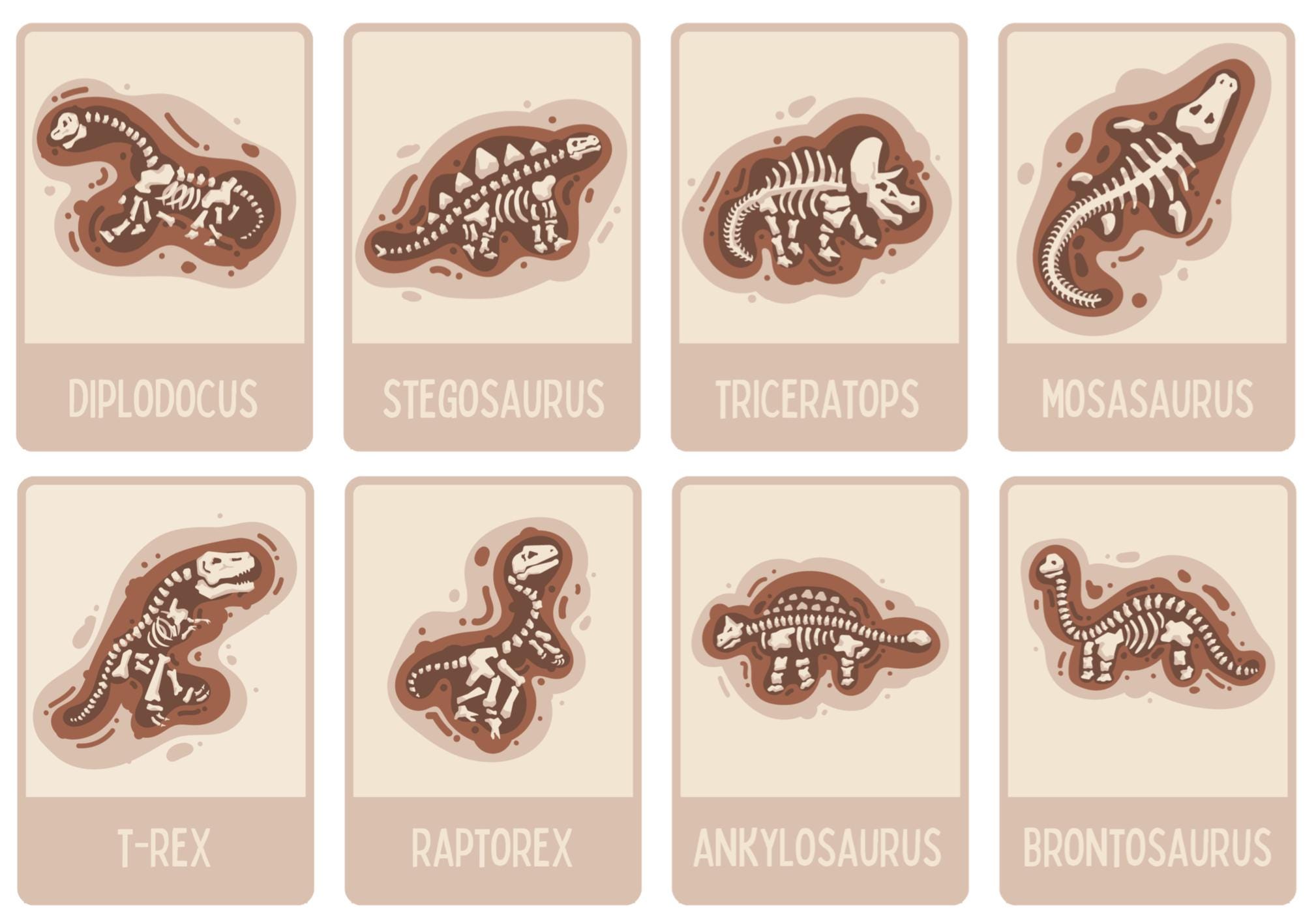 Dinosaur, Flashcards, 40 Flashcards, Science Fact Cards, Science Flash ...