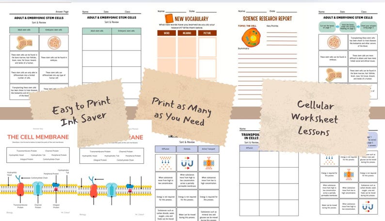 Cellular Education Worksheets, Over 40 Printable Sheets, Study Time ...