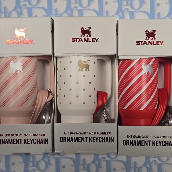 Mini Stanley Cup Keychain - Etsy