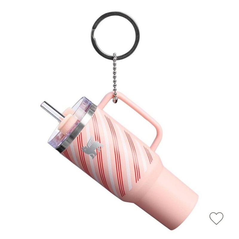 Stanley Keychains Ornaments - Etsy