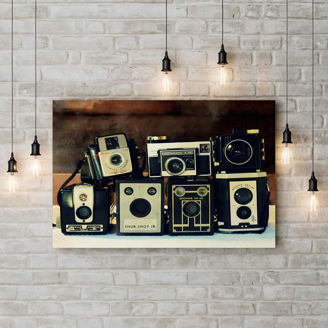 Vintage Camera Collection Poster Antique Cameras From the Early 20th ...
