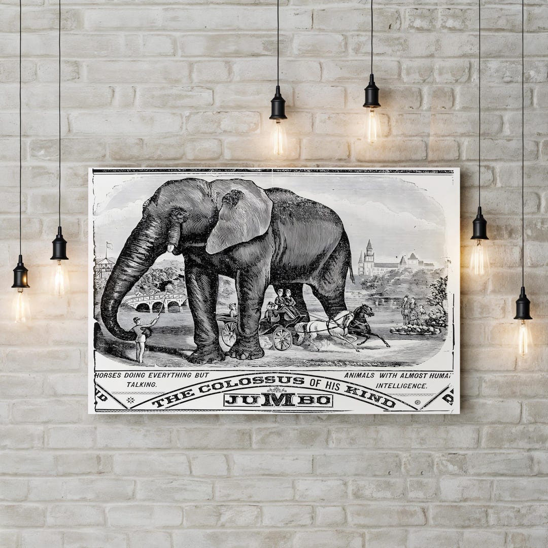 Vintage Jumbo Elephant Circus Poster Print Black and White Historical Art Depicting the Colossus ...