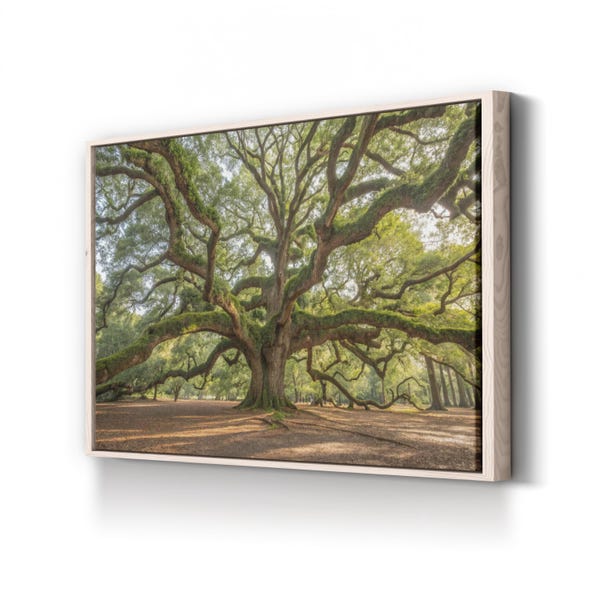 Angel Oak - Etsy