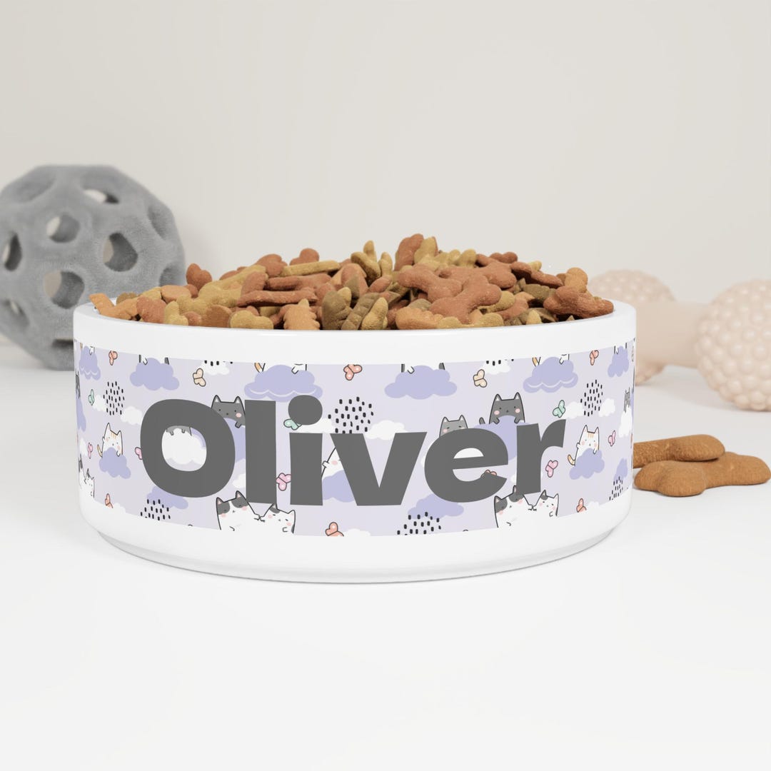 Custom Cat Bowl: Personalized Ceramic Pet Dish, Cat Lover Gift - Etsy
