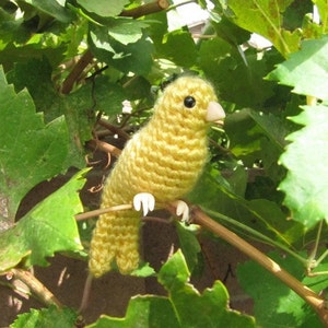 PATTERN - Canary or Song Bird Crochet Amigurumi - Etsy