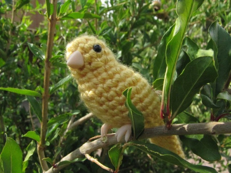 PATTERN - Canary or Song Bird Crochet Amigurumi - Etsy