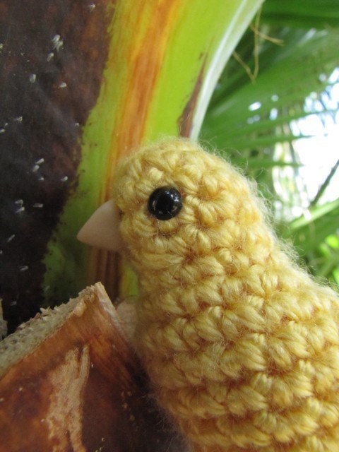 PATTERN - Canary or Song Bird Crochet Amigurumi - Etsy