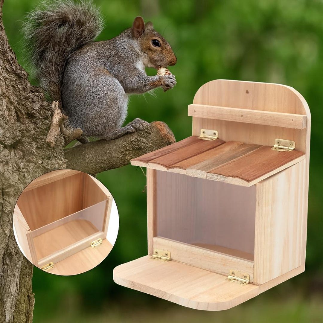 Squirrel Feeder Box Outdoor | Wooden Squirrel Feeding Station for ...