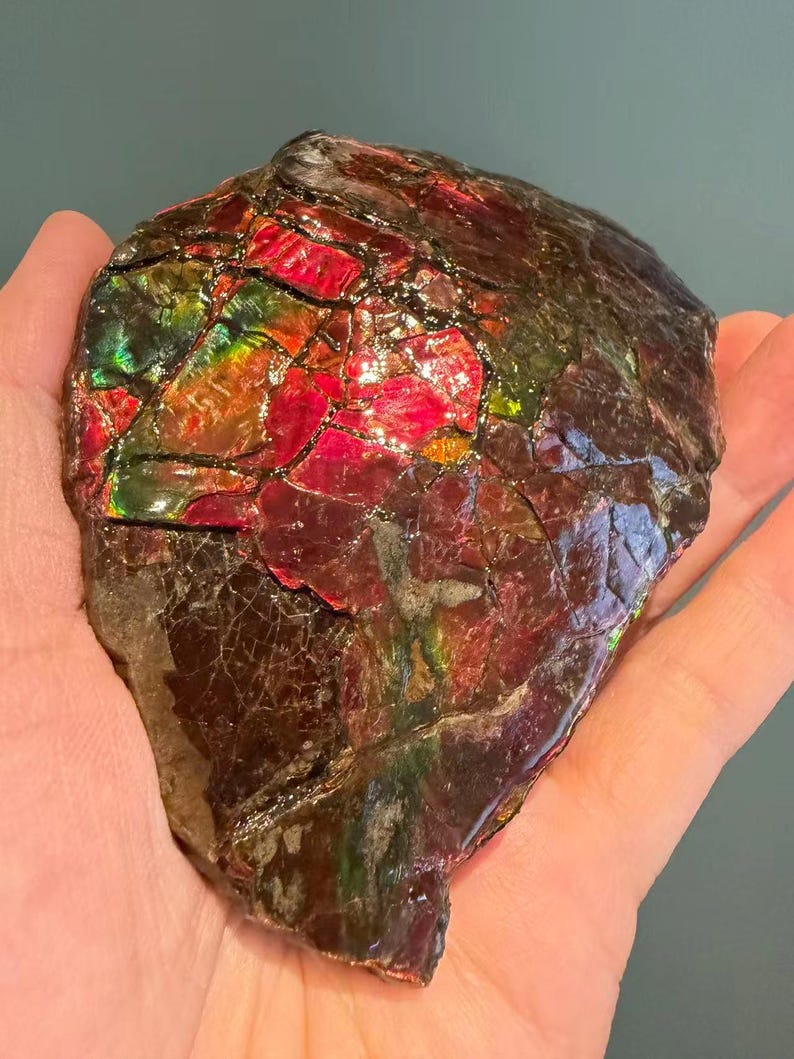 Natural Rainbow Iridescent Colour Canadian Ammolite Double Side ...