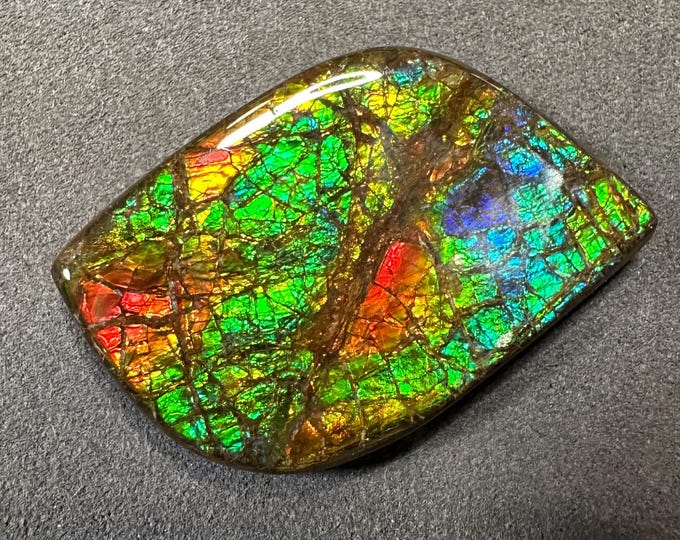 Natural Canadian Ammolite –free Form Shape , Rainbow Colors – 47.5ct ...